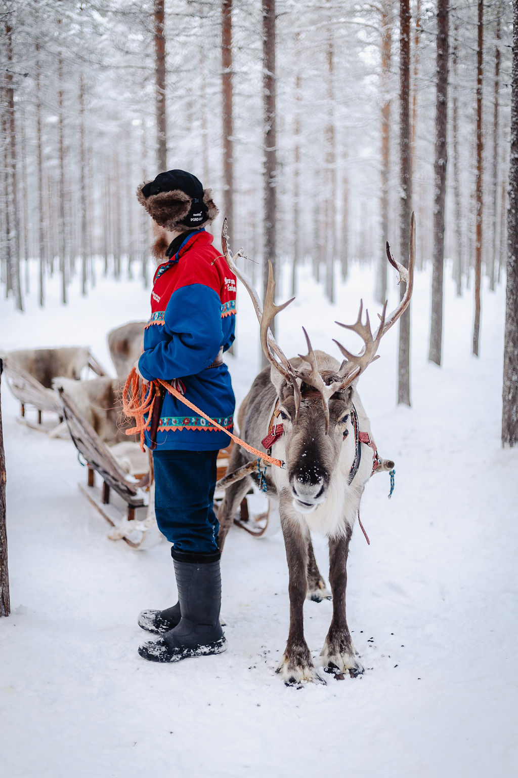How do you choose an authentic Arctic adventure in Finland? | Livo Arctic